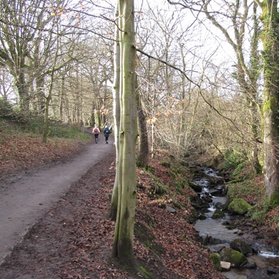Endcliffe - Porter Valley | Sheffield Round Walk | Dog Friendly